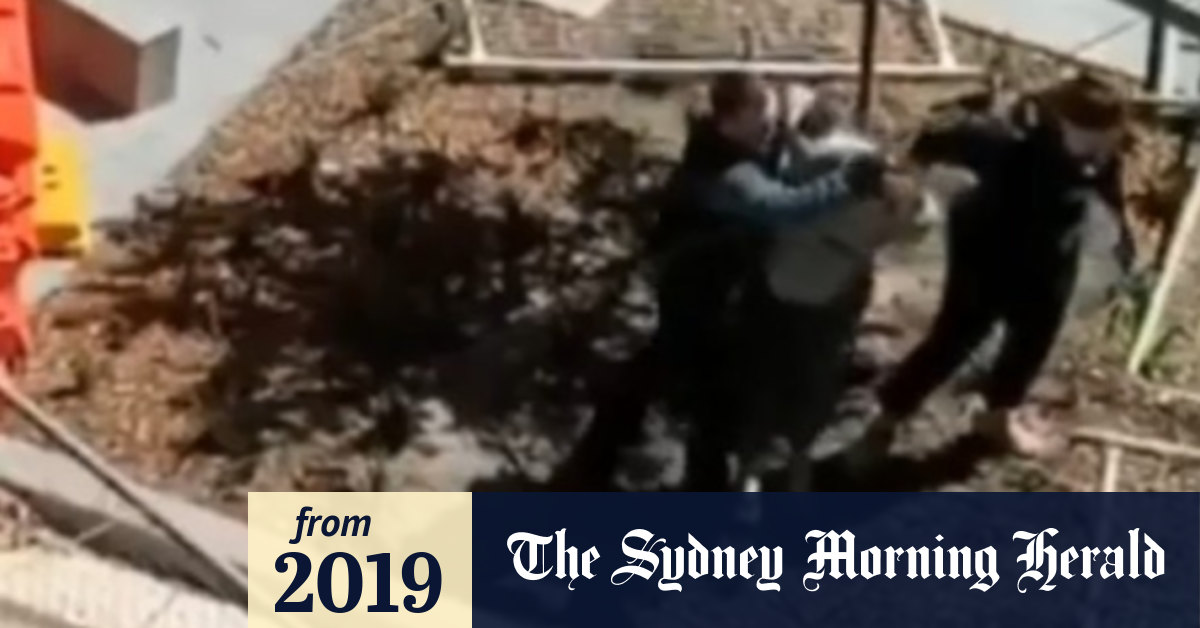 Video: Police officer injured during arrest