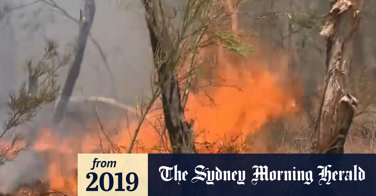 Video: Queensland fires burning at Pechey and Woodgate