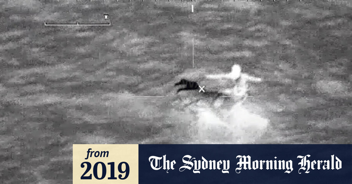 Video: Dramatic WA Police rescue off Ocean Reef
