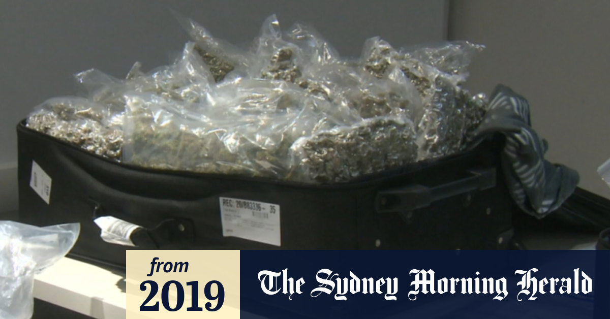 Video: Adelaide airport alleged cannabis smuggle