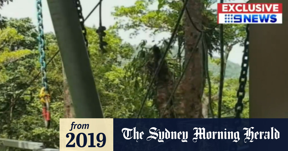 Video: Zipline tragedy witnesses have spoken out