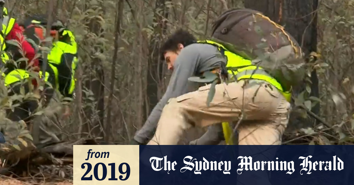 Video: Missing Melbourne man