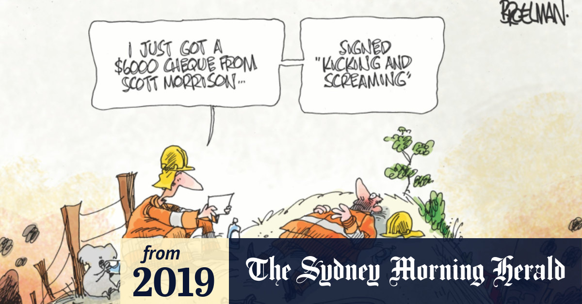 Best of cartoons December 30, 2019