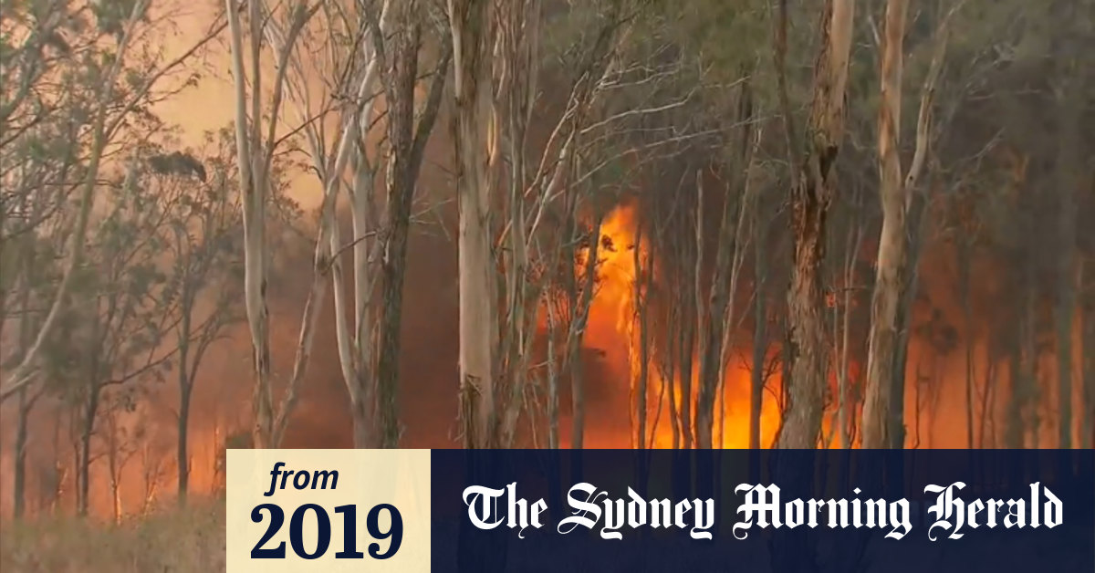 Video: Queensland residents told to evacuate fire zones