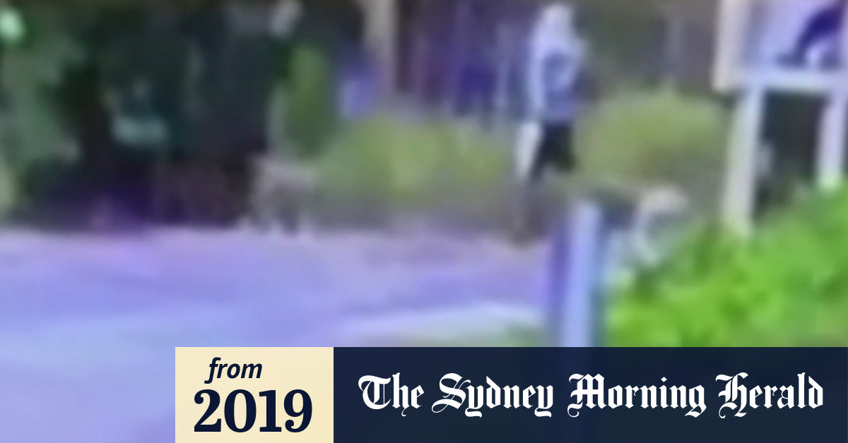 Video: CCTV shows moment pipe bomb explodes