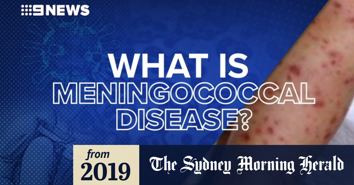 Video: What is meningococcal disease?