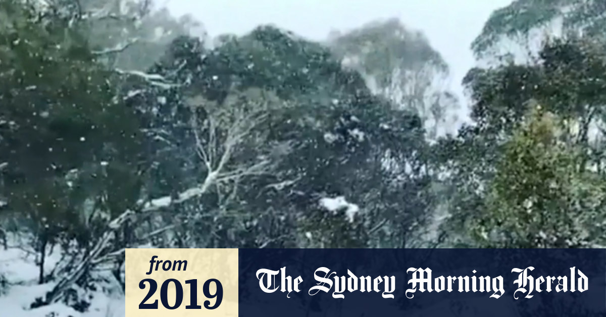 Video: Record levels of snowfall in NSW
