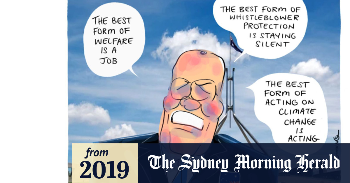 Best of cartoons August 25, 2019
