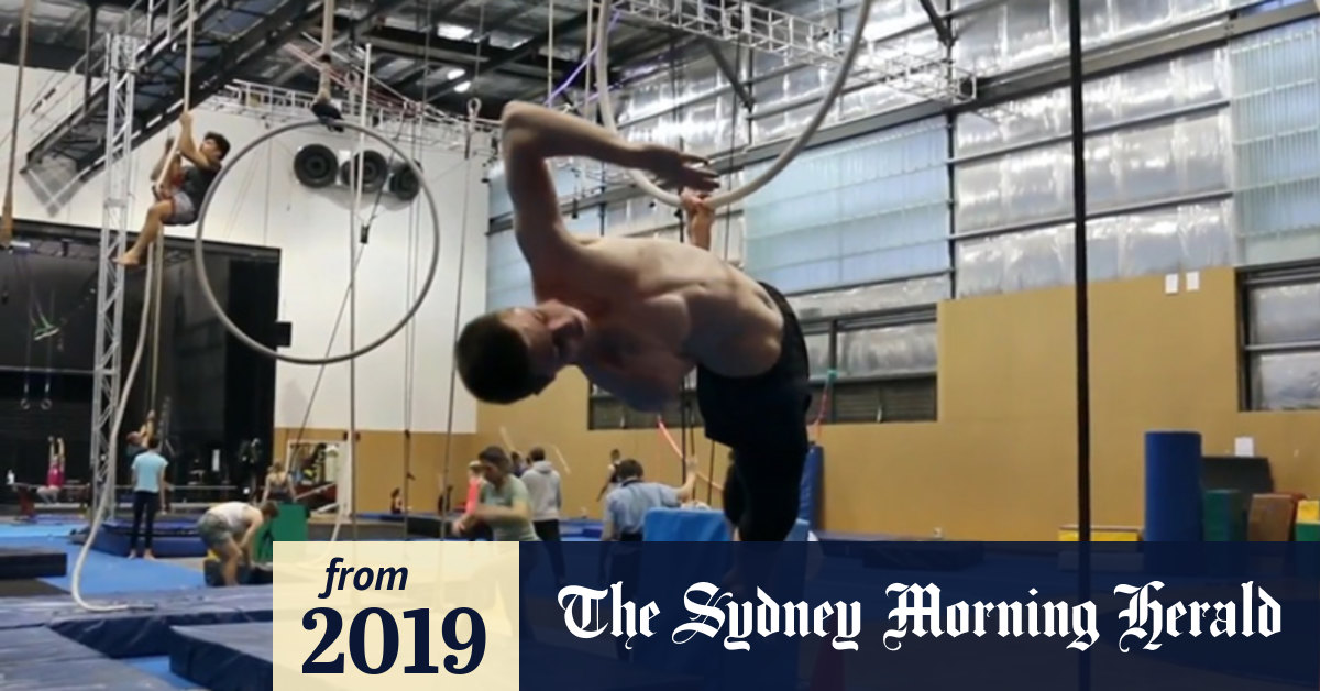 Video: Run away and join the Flying Fruit Fly Circus