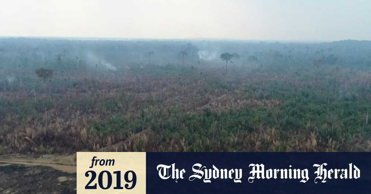 Video: Amazon fire disaster