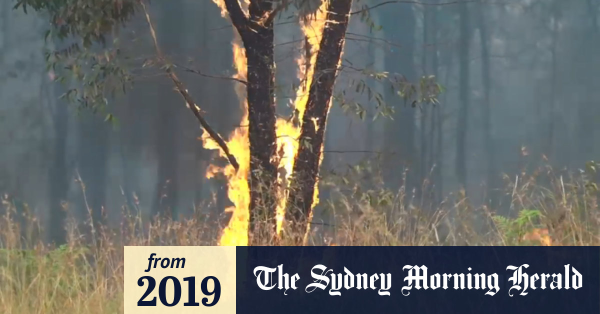 Video: RFS back-burn ahead of heat wave