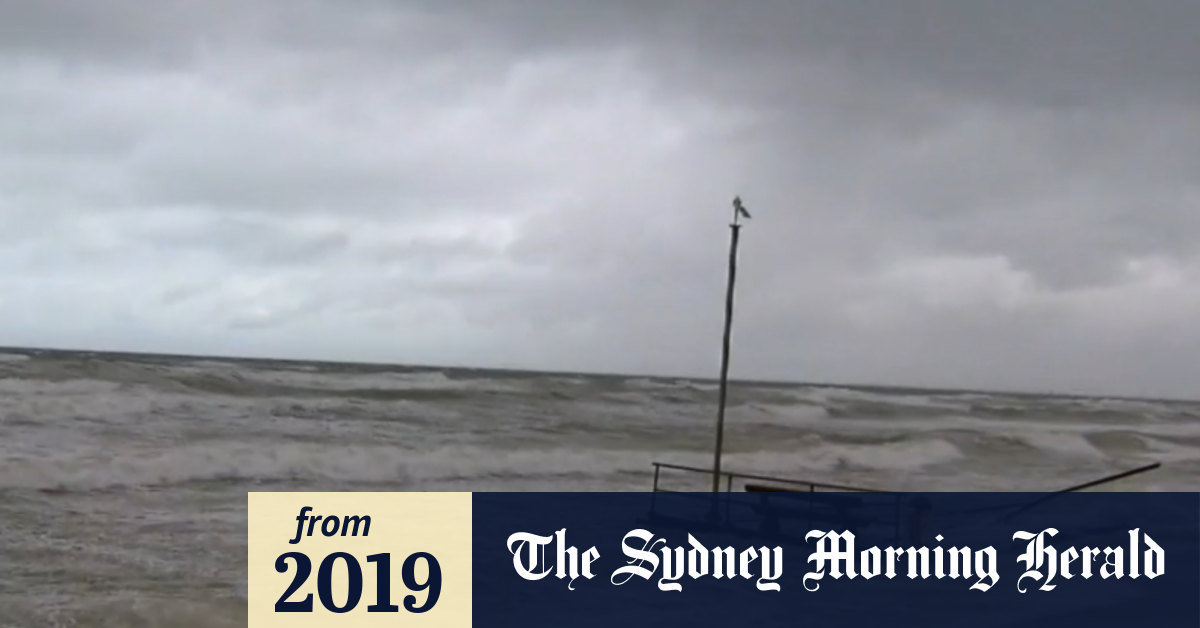Video: Widespread storm damage across south east Australia
