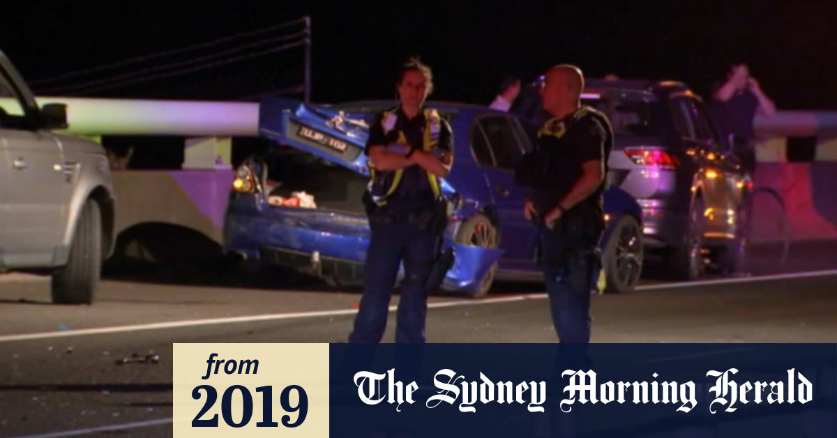 Video: Fallen canopy causes deadly road crash in Victoria