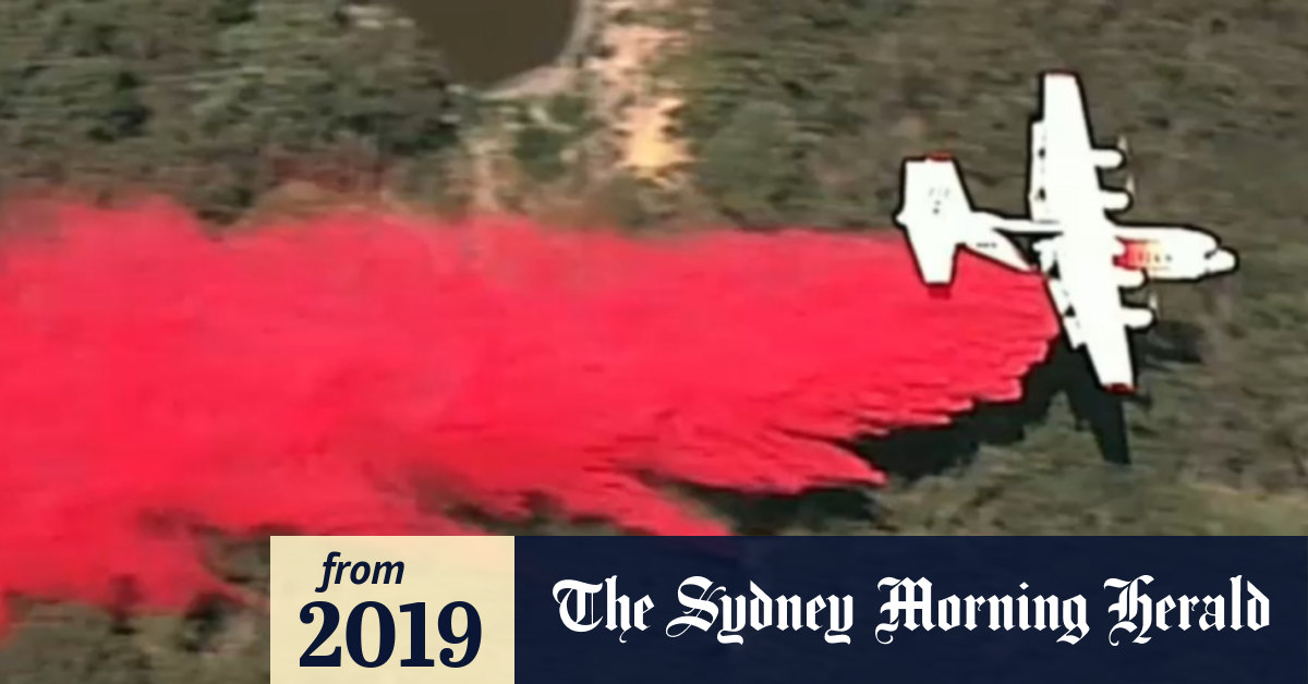 Video: Update from the RFS headquarters