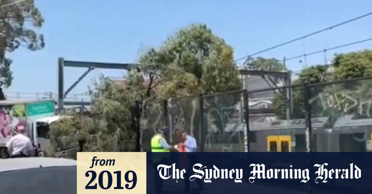 Video: Fallen tree causes Sydney train delays