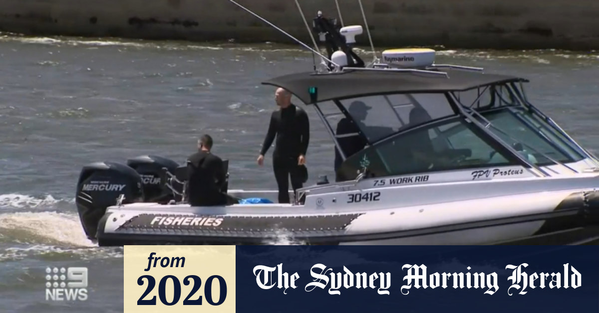 Video: Body of missing fisherman recovered from sea
