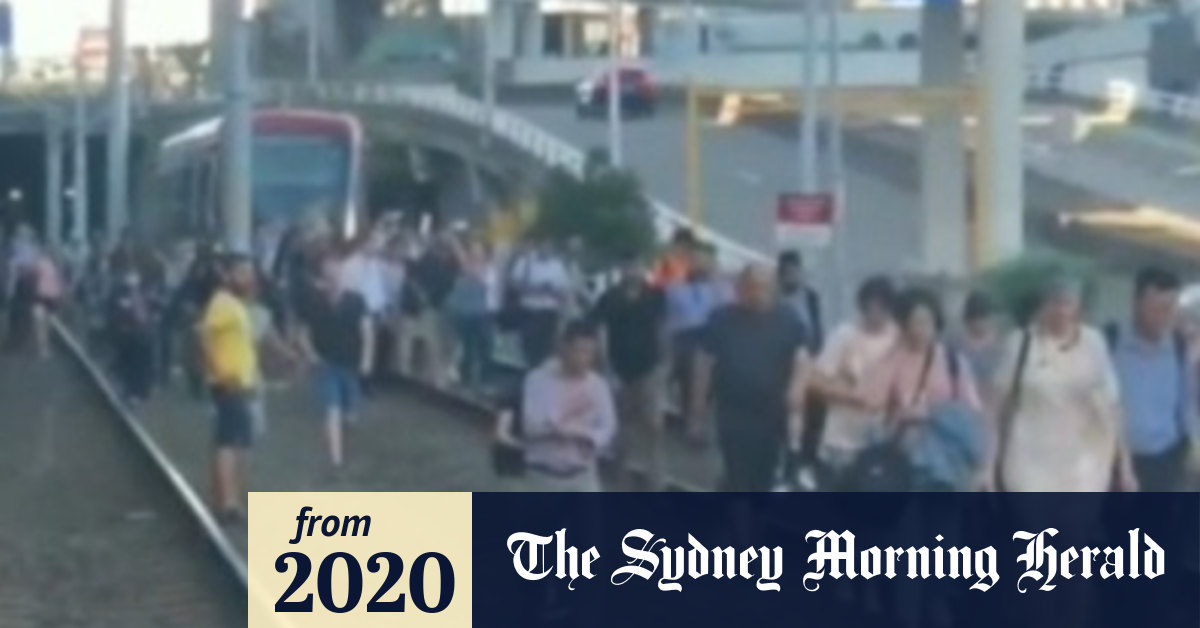 Video: Numerous incidents cause long transport delays in Sydney