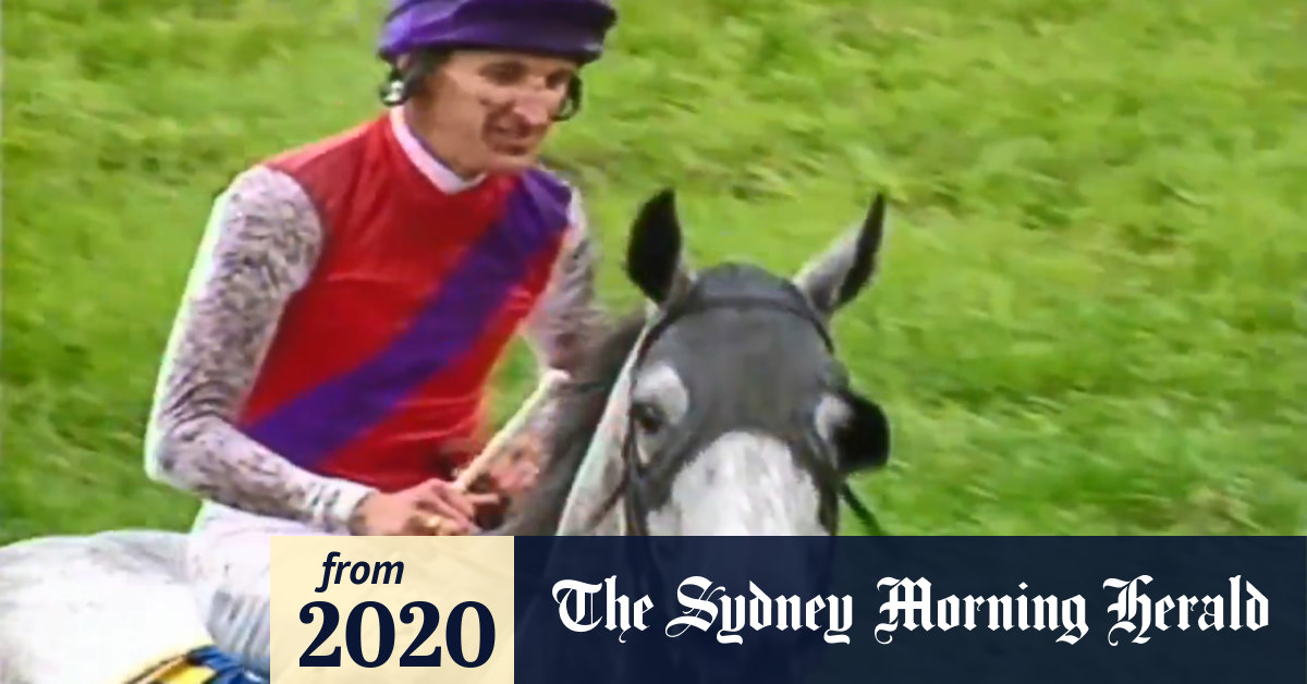 Video: Iconic Melbourne Cup winner Subzero dies
