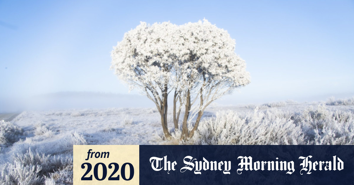 Photos of the week, August 20, 2020