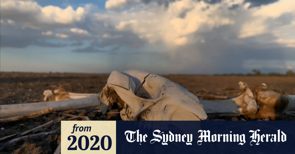 Video: The end of Murray-Darling Drought