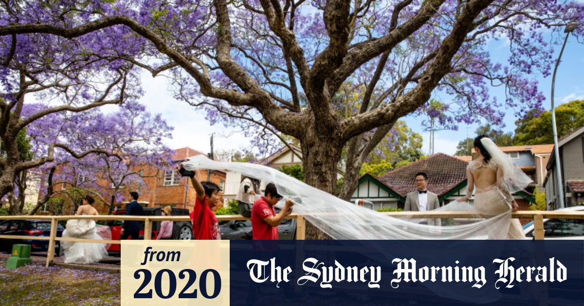 Photos of the week, November 12, 2020