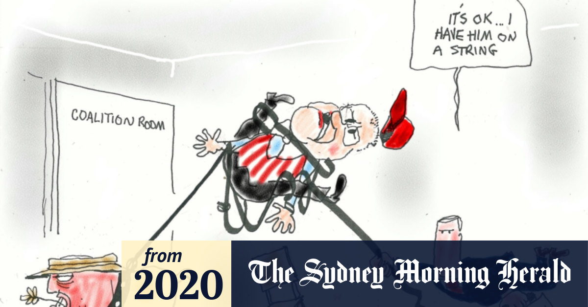 Best of cartoons, February 15, 2020