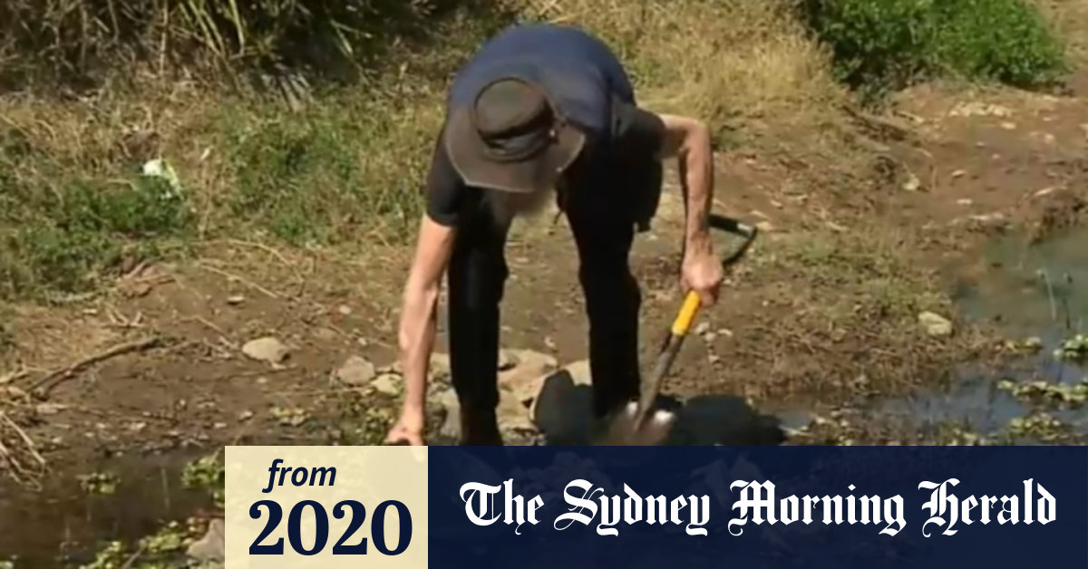 Video: Rising price of gold sparks fossicking enthusiasm