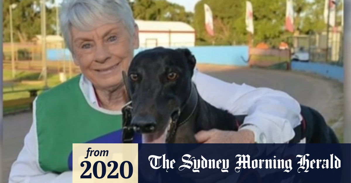 Video: Respected greyhound trainer found dead