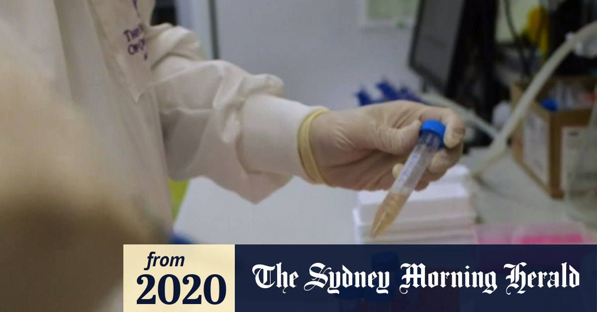 Video: Coronavirus: Vaccine showing positive signs in trials