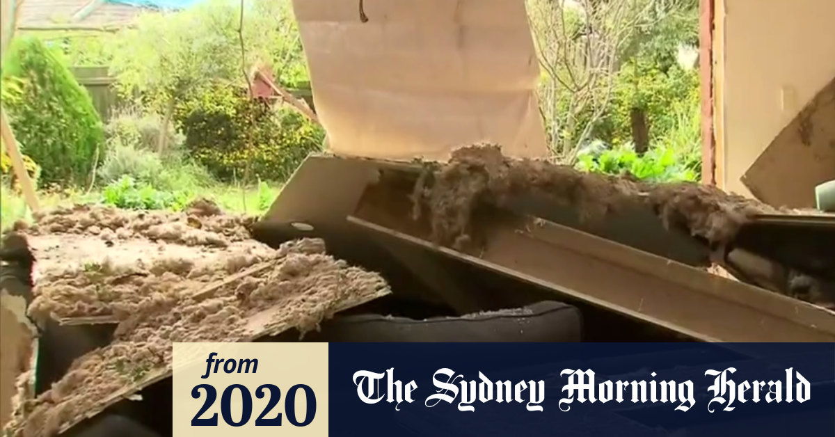 Video: Severe storm damage in Victoria