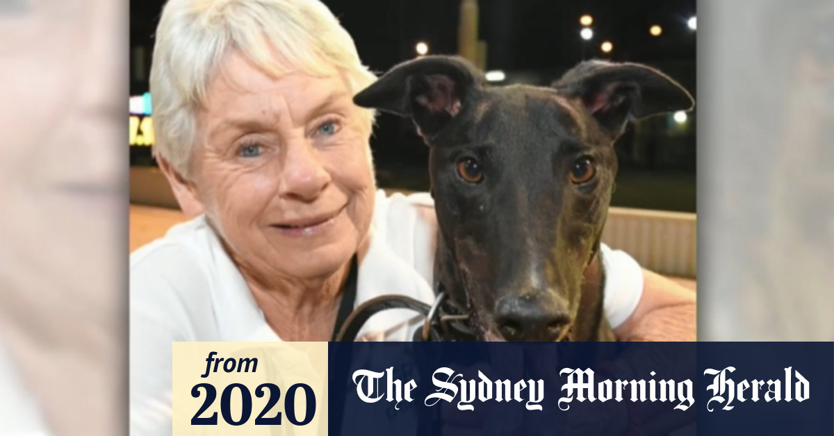 Video: Niece accused of murder over greyhound trainer’s death