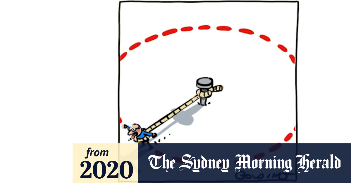 Best of cartoons, September 30, 2020