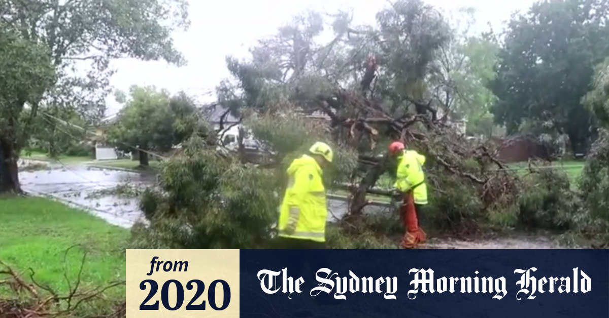 Video: Sydney wild weather causes chaos