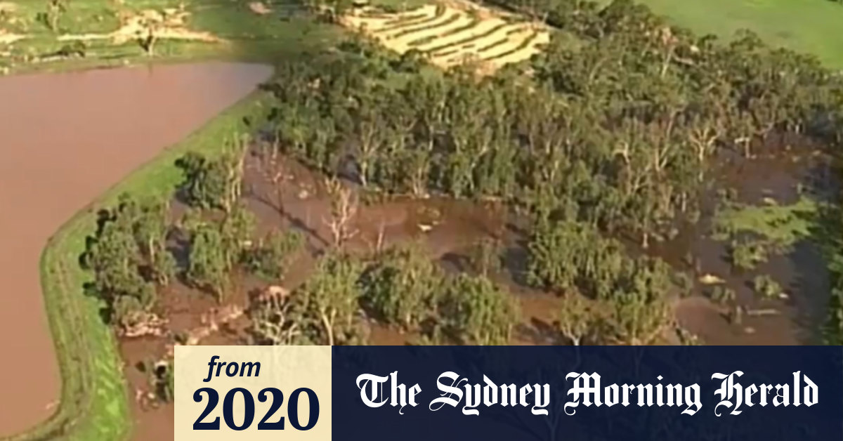 Video: Talgai dam on the brink of collapse