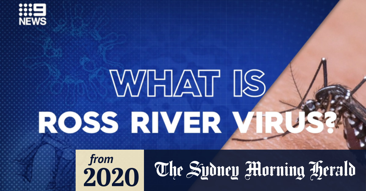 Video: What is Ross River virus?