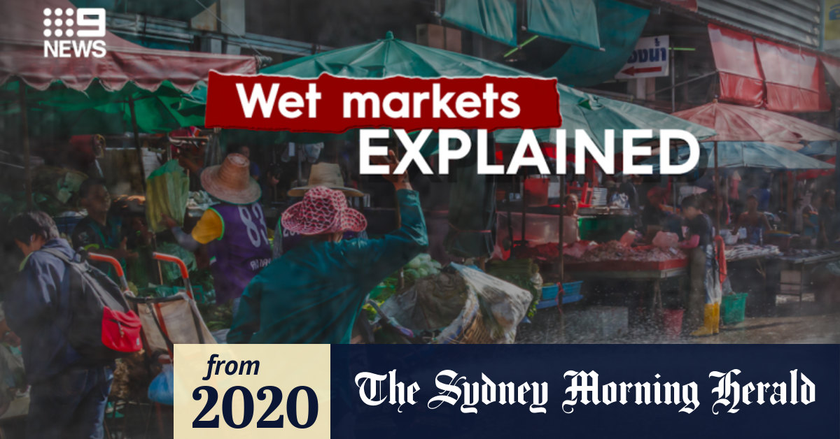 Video: What is a wet market?