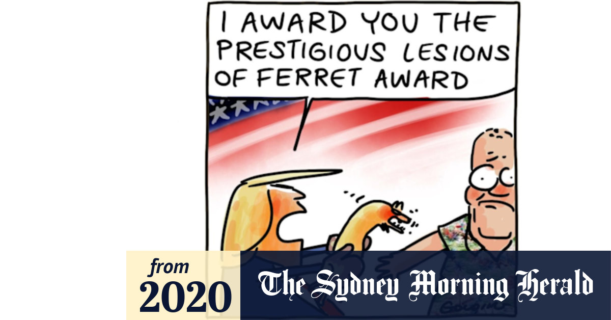 Best of cartoons, December 24, 2020