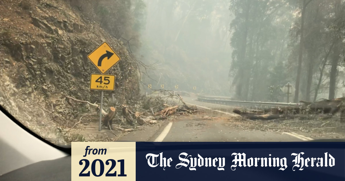 Video: Kings Highway, January 2020
