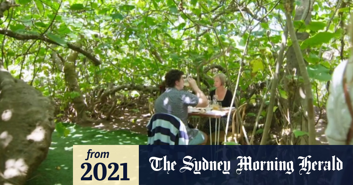 Video: Adelady visits Kangaroo Island's Enchanted Fig Tree