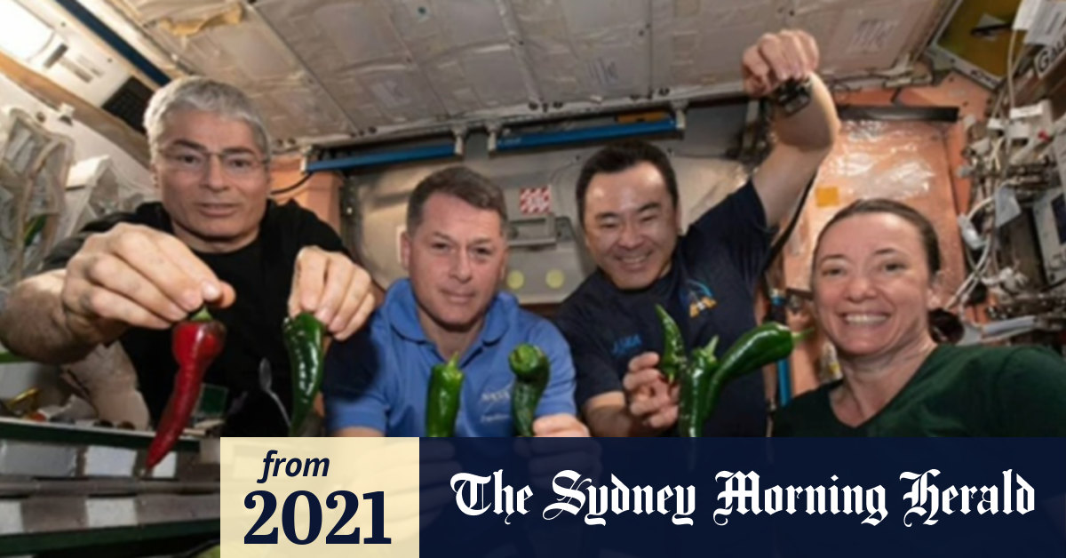 Video: SpaceX astronauts try tacos in space