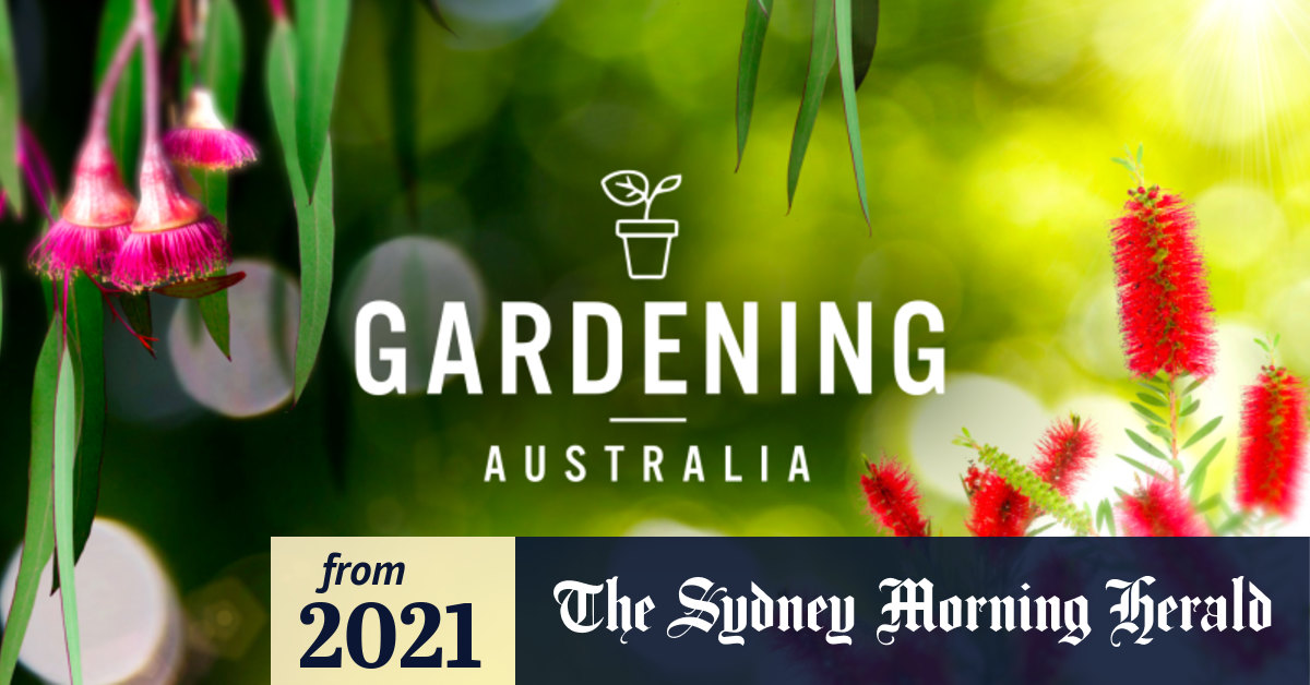 Video: Former presenter of Gardening Australia dies