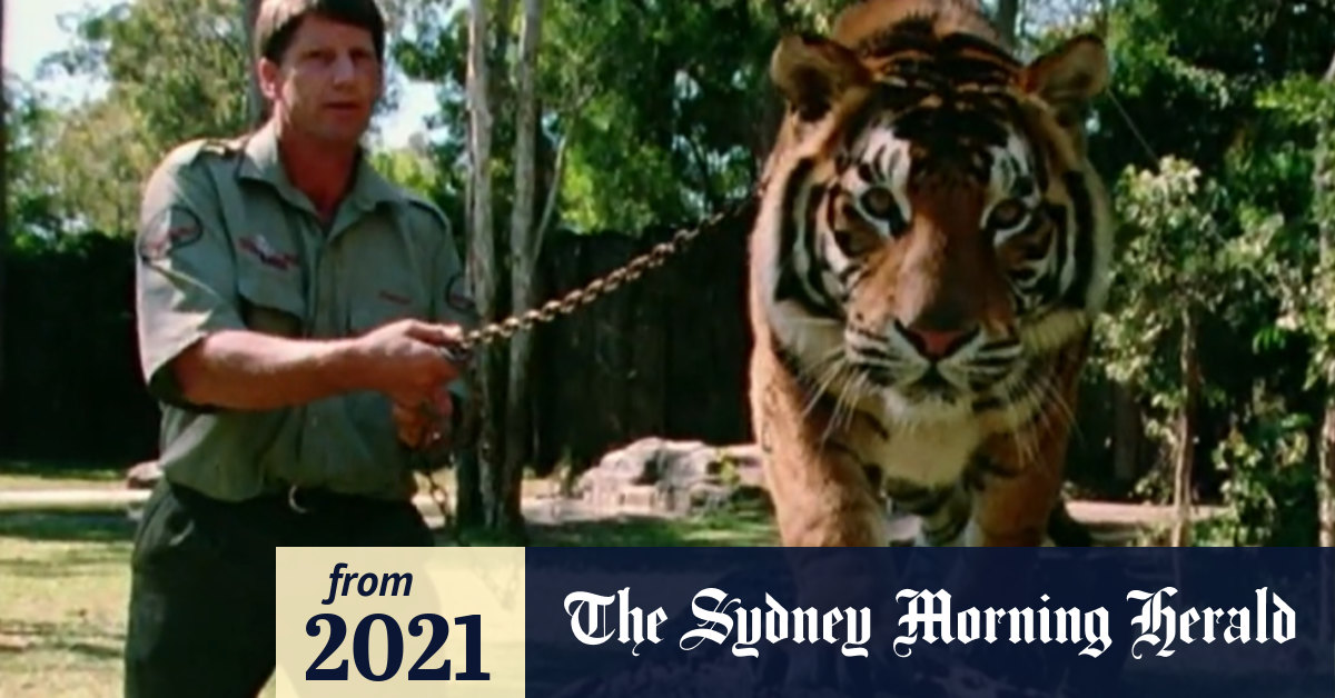 Video: Tiger Island one of Dreamworld's most popular attractions