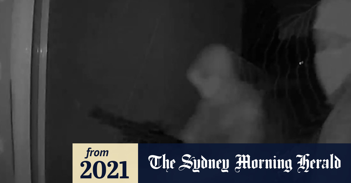 Video: Victoria Police released footage of terrifying home invasion