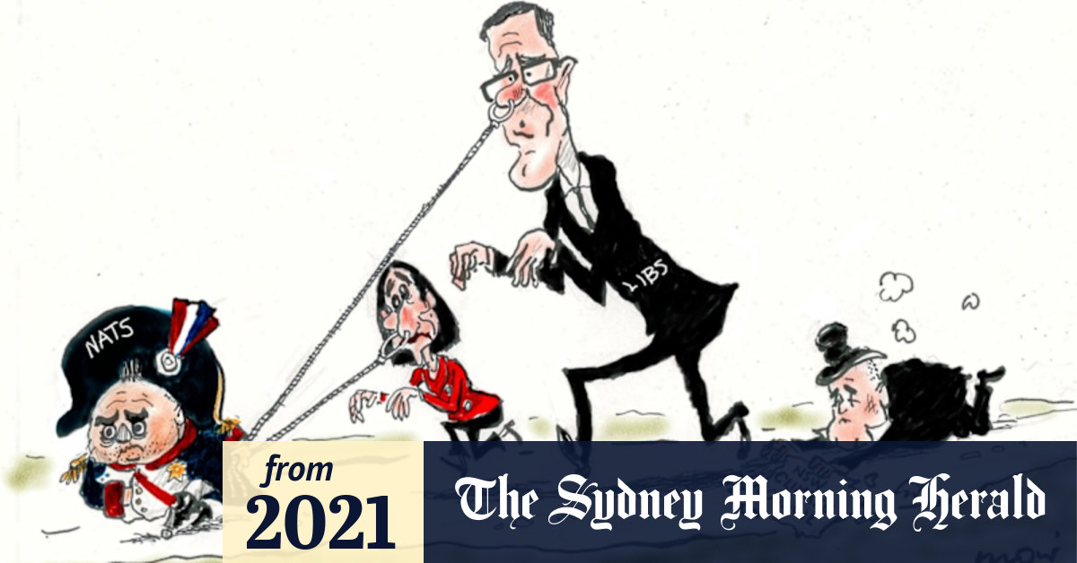 Cartoons of the week