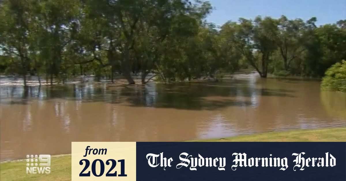Video: Goondiwindi flood levels to peak