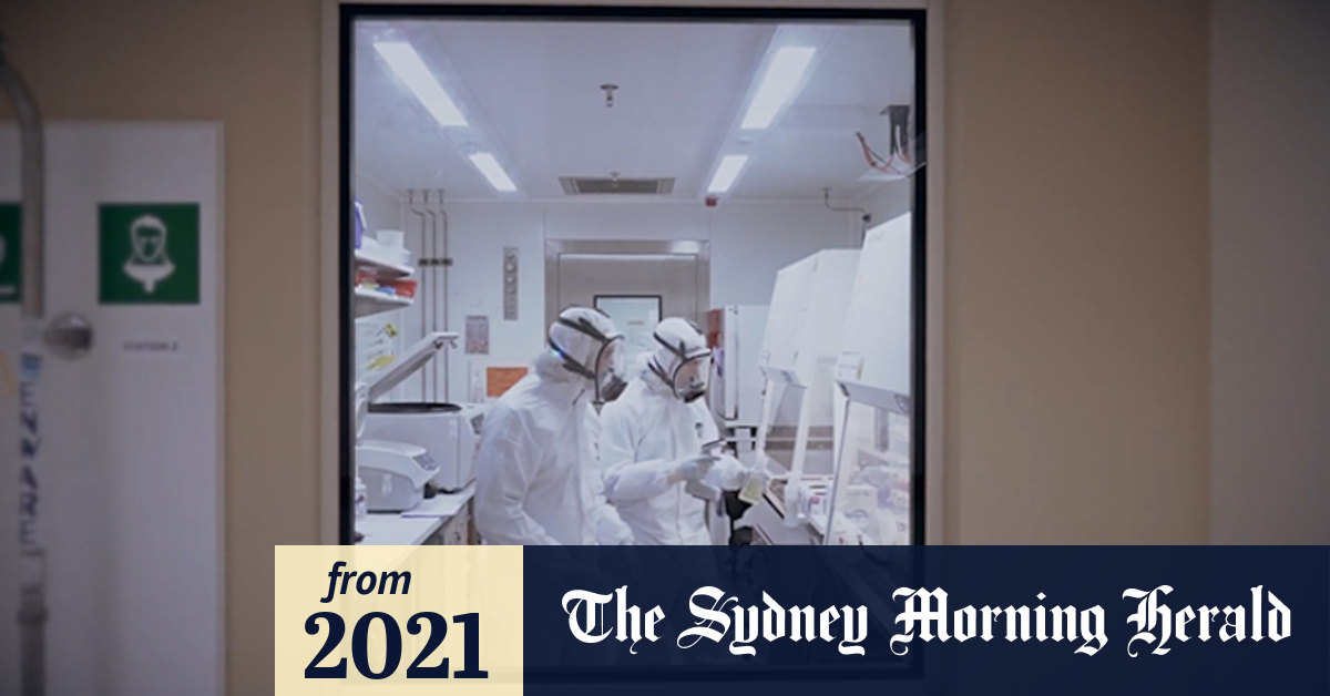 Video: Immunologist explains how ‘supercharged’ cells help fight ...