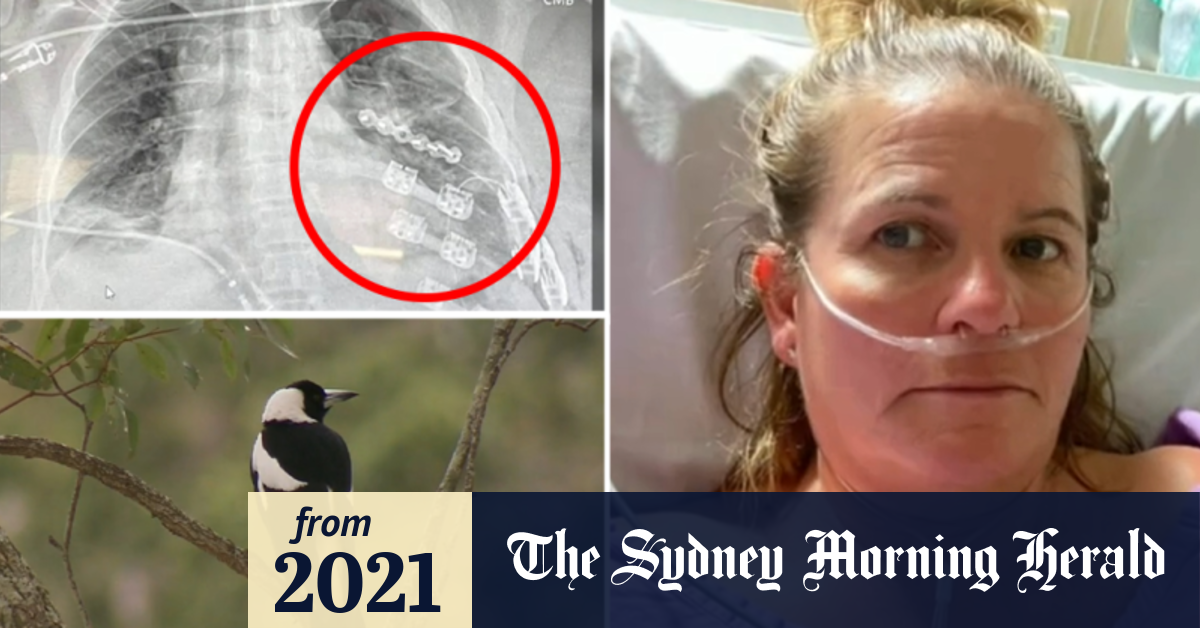 Video: Magpie attacks Gold Coast woman