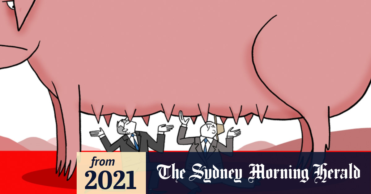 Best of cartoons, December 10, 2021