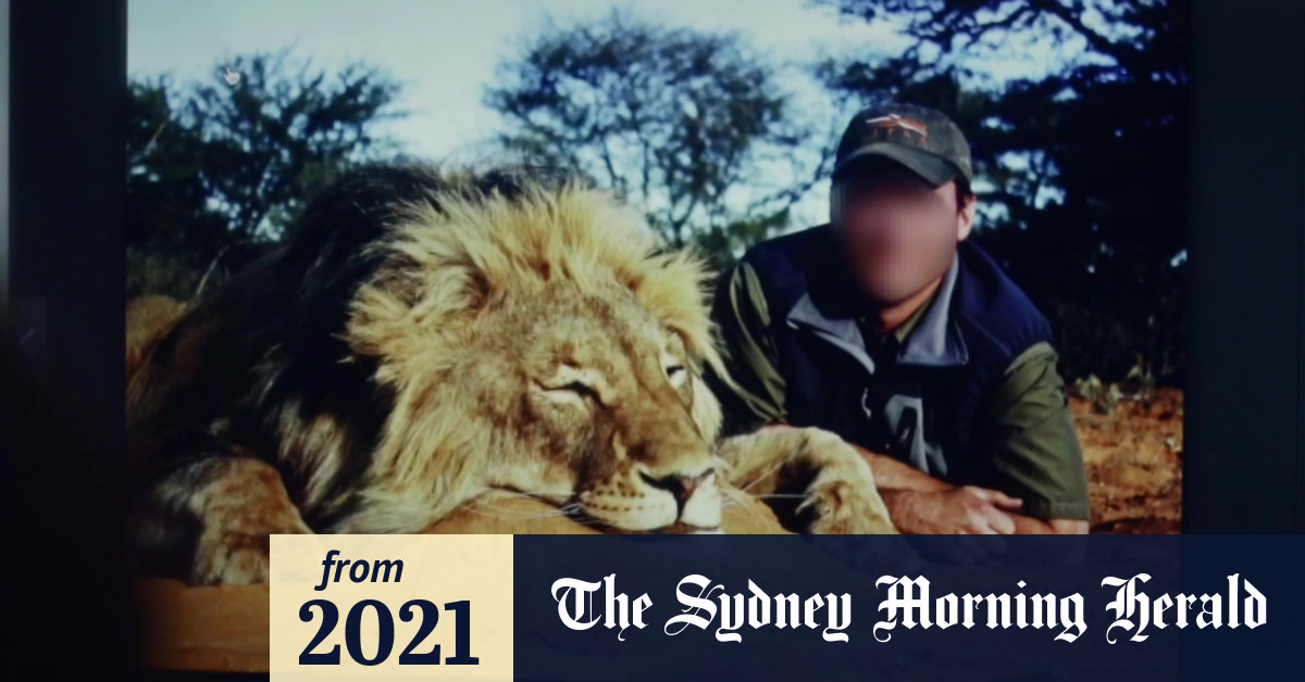 Video: Lion Spy: Behind the documentary