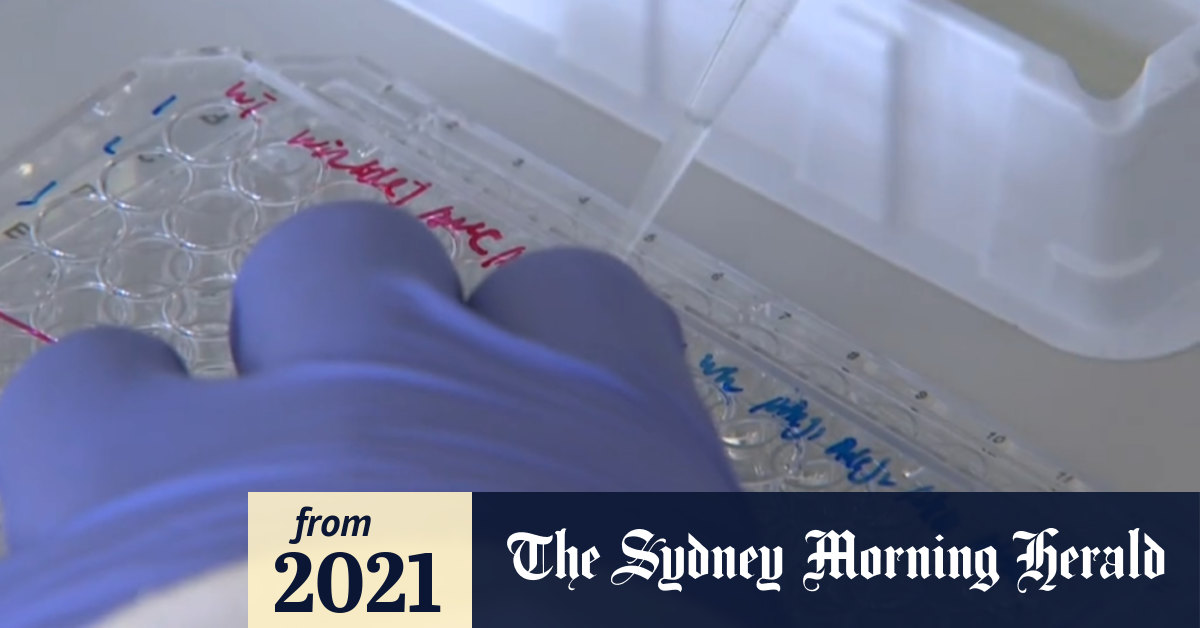 Video: SA scientists discover new weapon in fight against superbugs